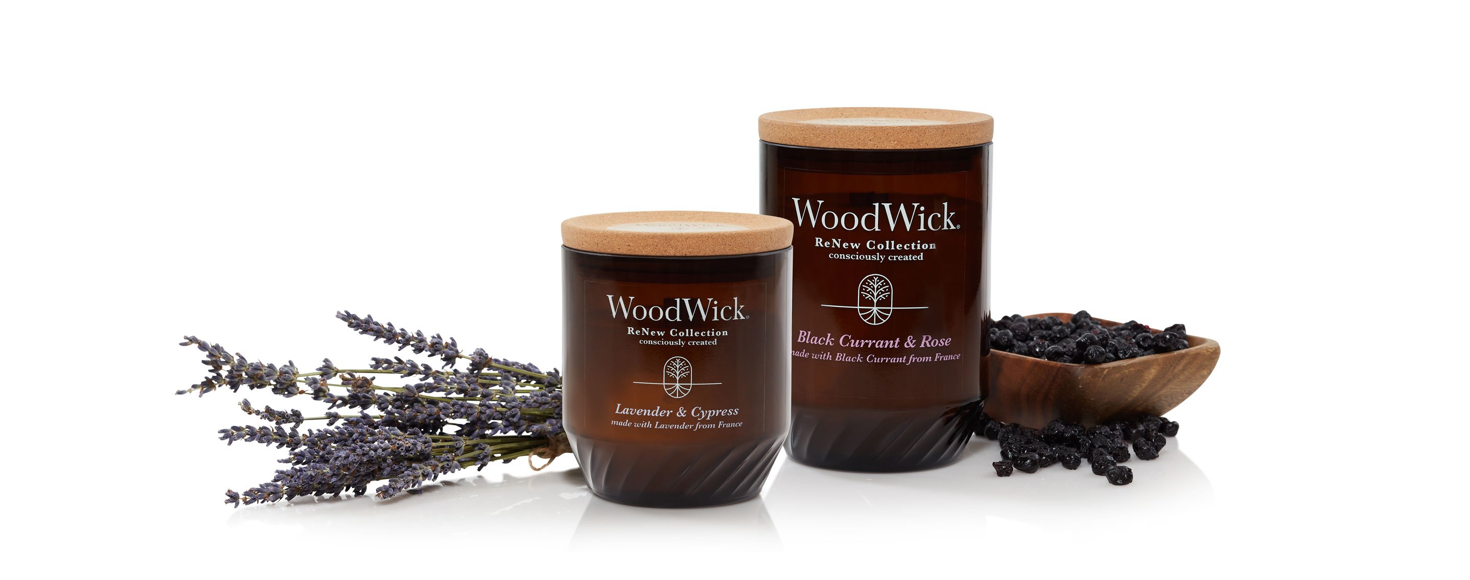 ReNew Collection | WoodWick Candle