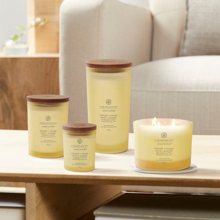 Large Candles | Chesapeake Bay Candle®