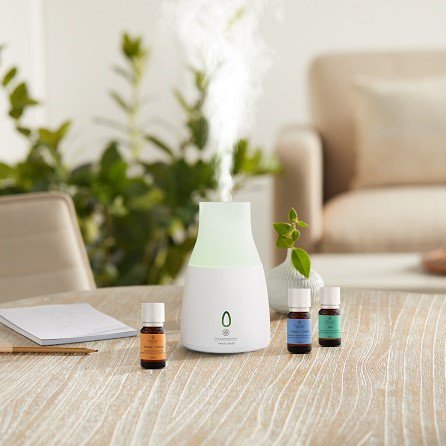 Amour + Passion | Pamplemousse mangue | Chesapeake Bay Candle®