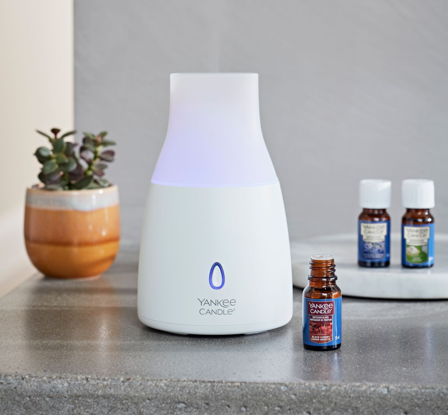 Under The Desert Sun | Spring/Summer 2024 | Yankee Candle